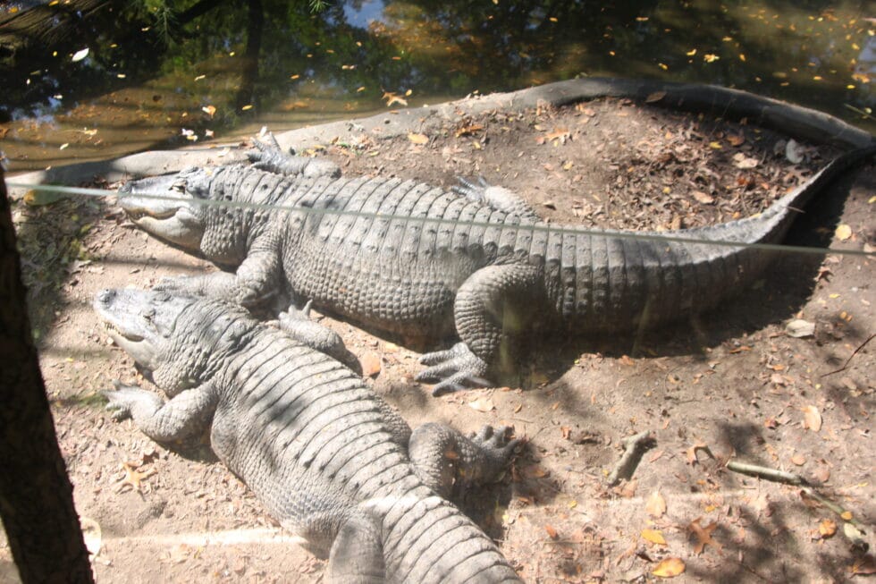 Van Suan Park and Zoo: Paramus, NJ - Been There Done That Trips