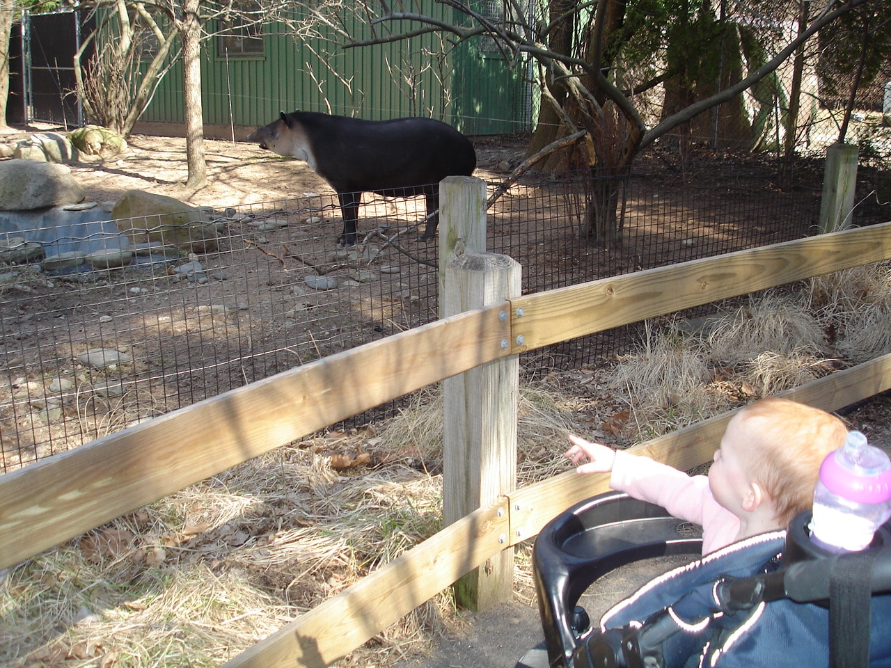 Van Suan Park and Zoo: Paramus, NJ - Been There Done That Trips