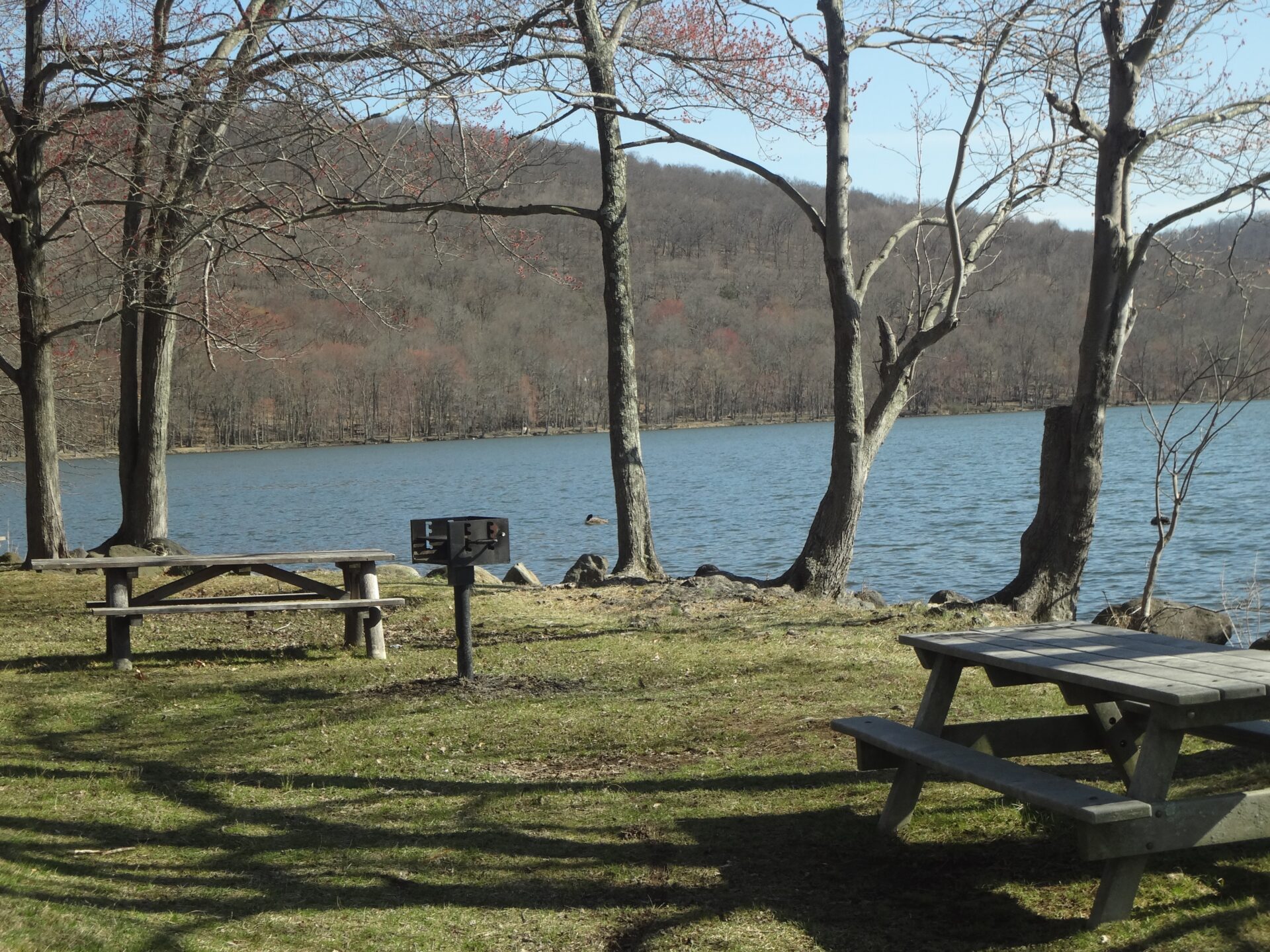 Rockland Lake State Park: Valley Cottage, NY - Been There Done That Trips