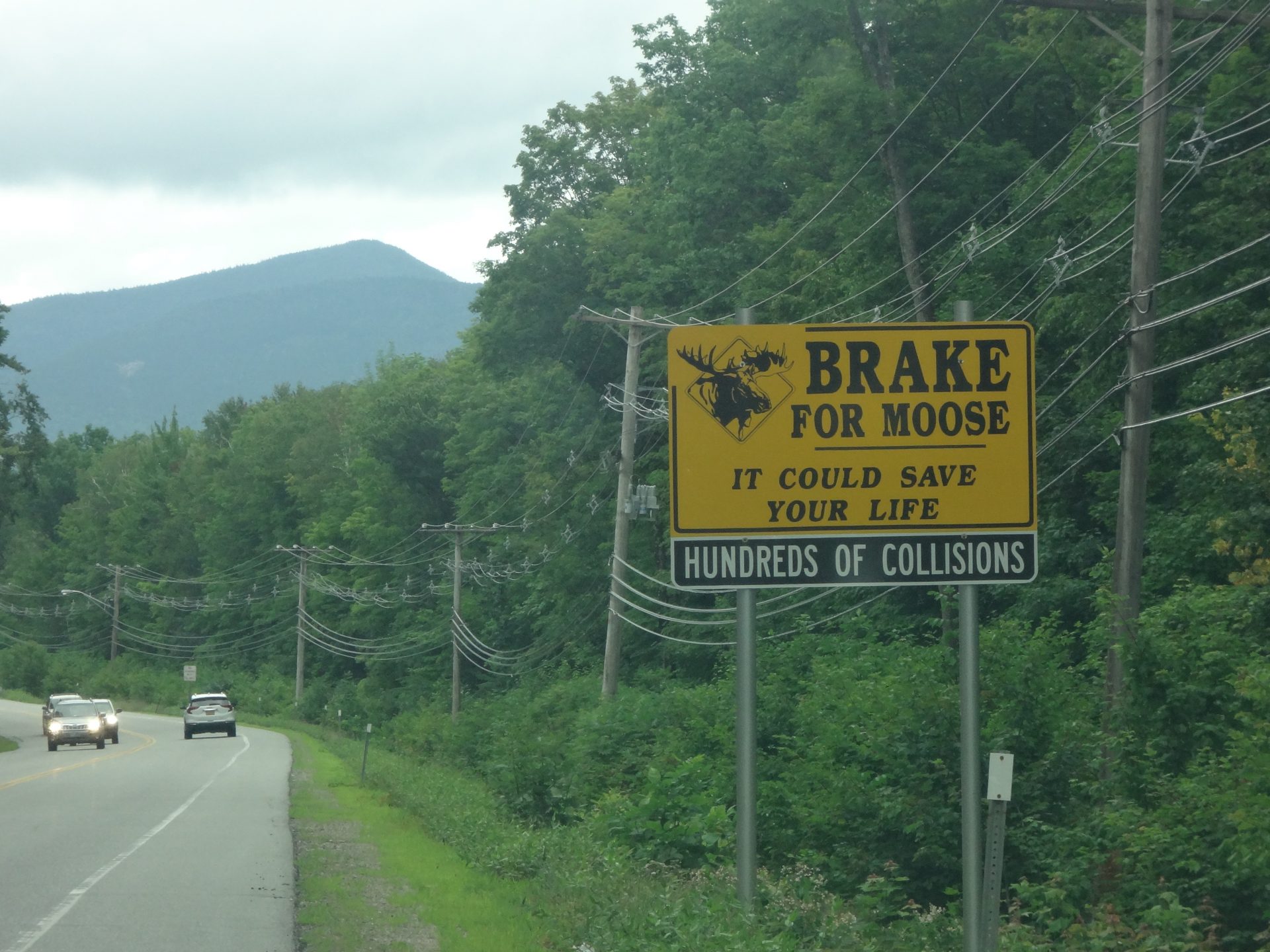 Clark’s Bears: Lincoln, NH - Been There Done That Trips