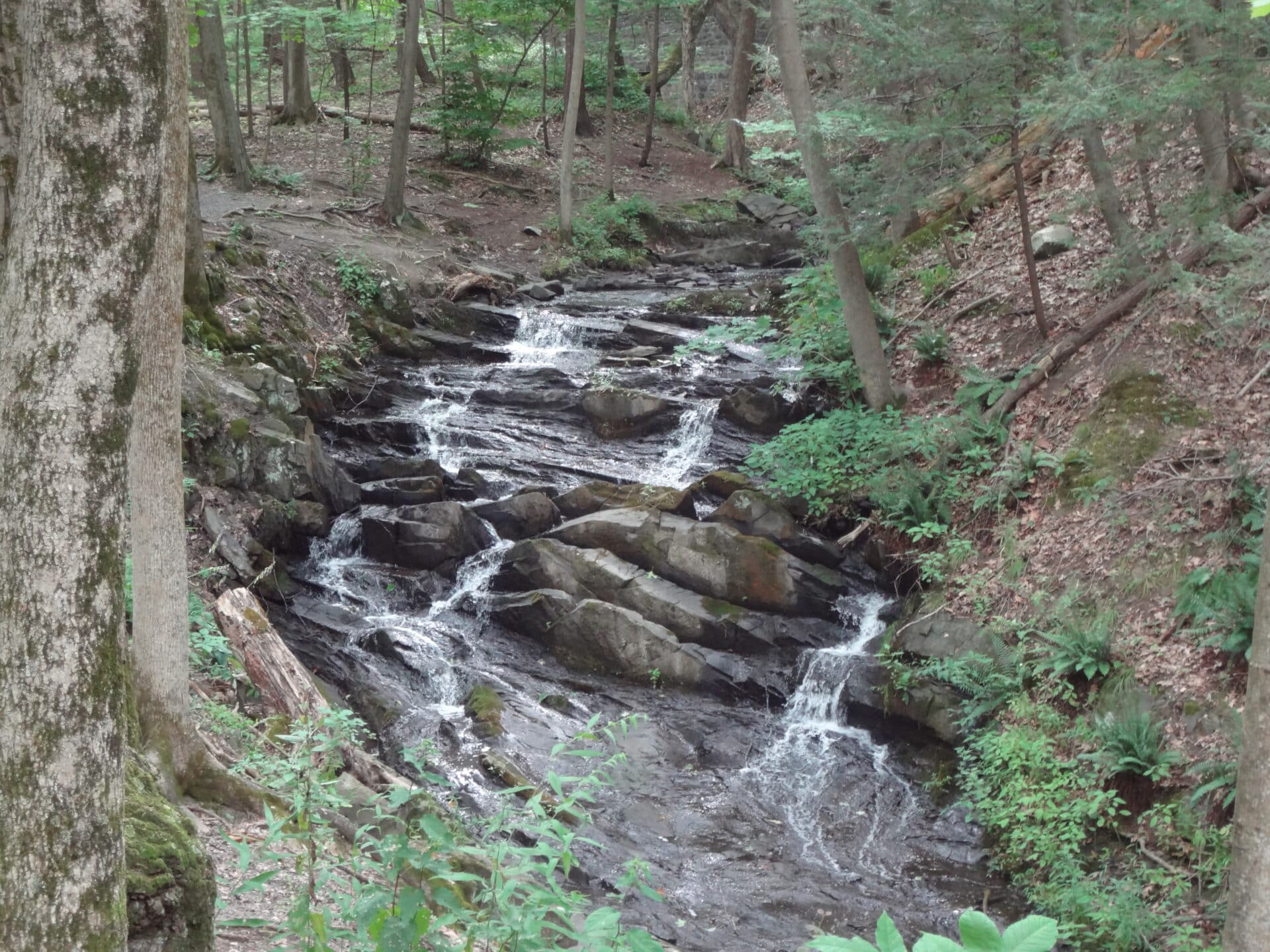 Falling Waters Preserve: Saugerties, NY - Been There Done That Trips