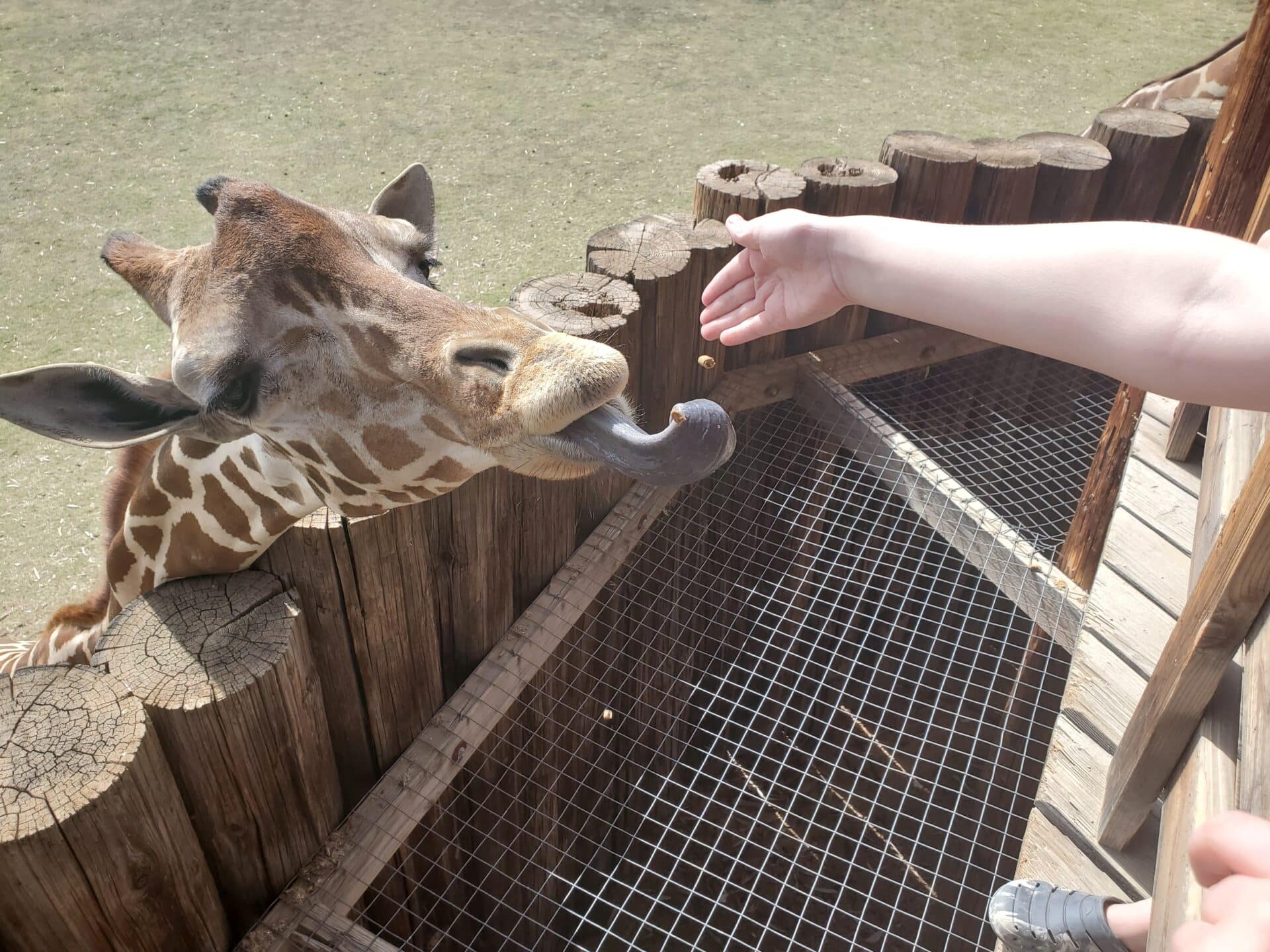 Wildlife World Zoo, Aquarium and Safari Park: Litchfield Park, AZ ...