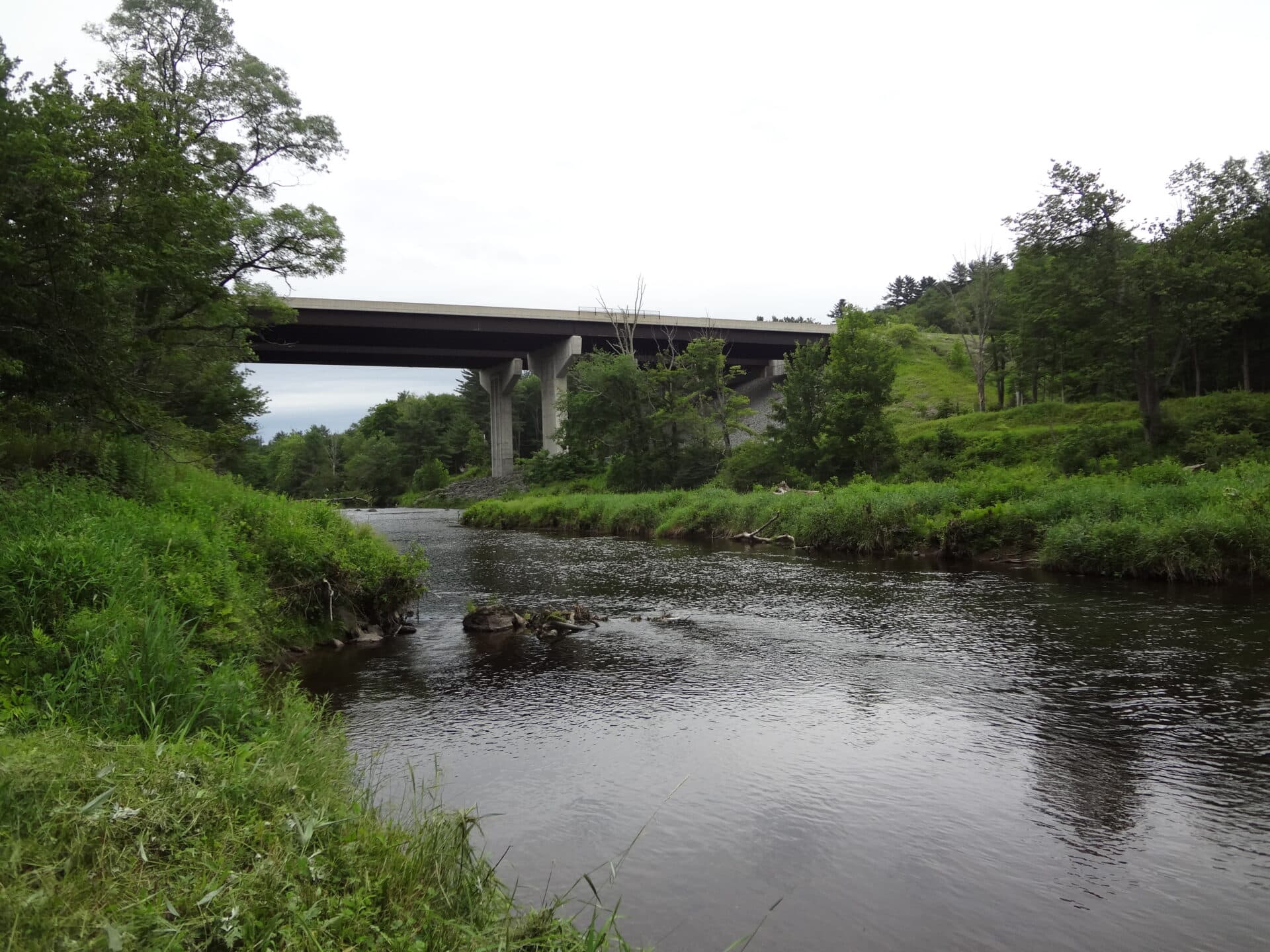 Neversink River Access Park: Monticello, NY - Been There Done That Trips