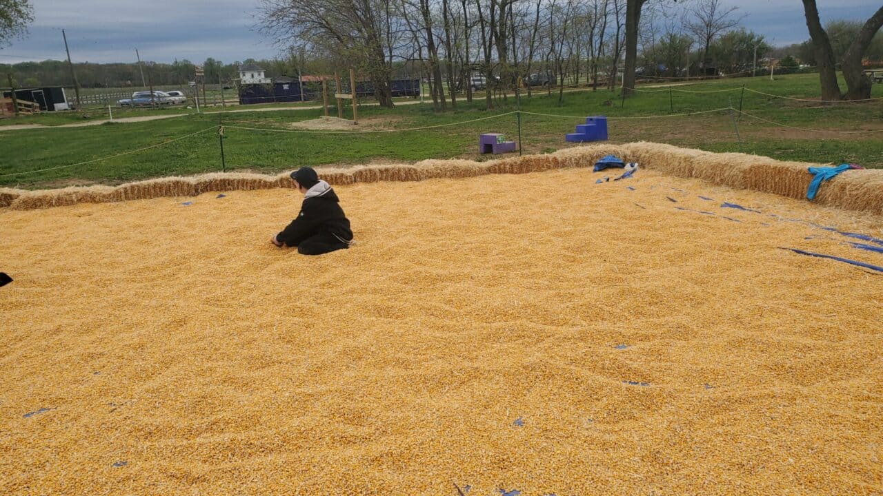 Holland Ridge Farms: Cream Ridge, NJ - Been There Done That Trips