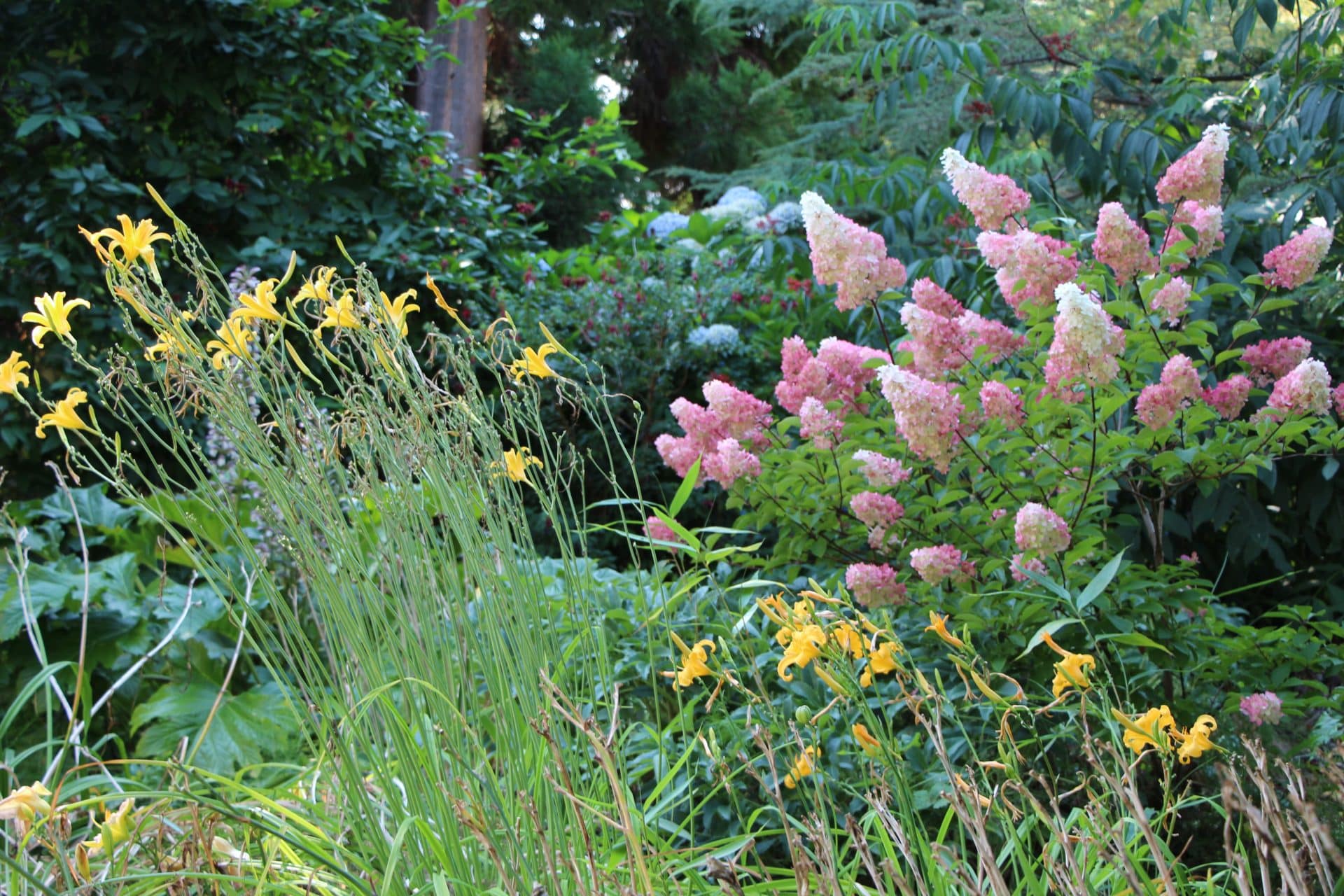 Carl S. English Jr. Botanical Garden: Seattle, WA - Been There Done ...